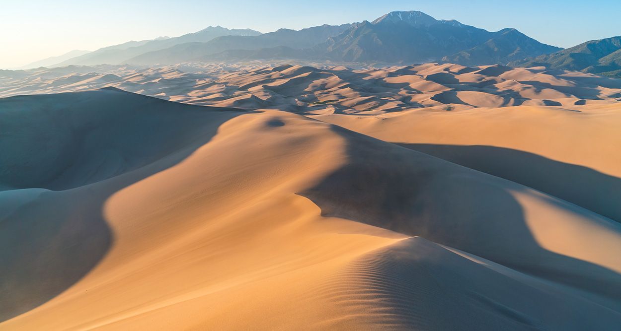 ROSE NATURE ANTI DIGITAL AGING